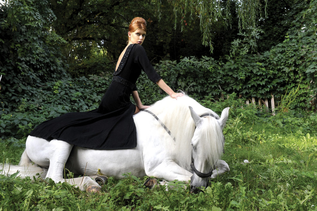 horse11 - Tampa Style Magazine